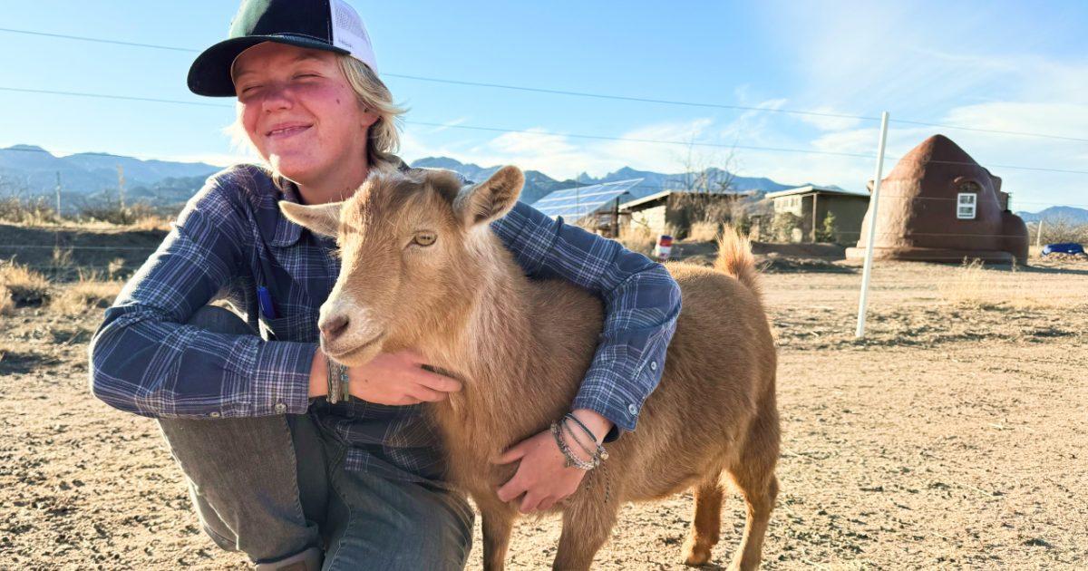 Legend Dairy Goat Barn Container - Tiny Shiny Home