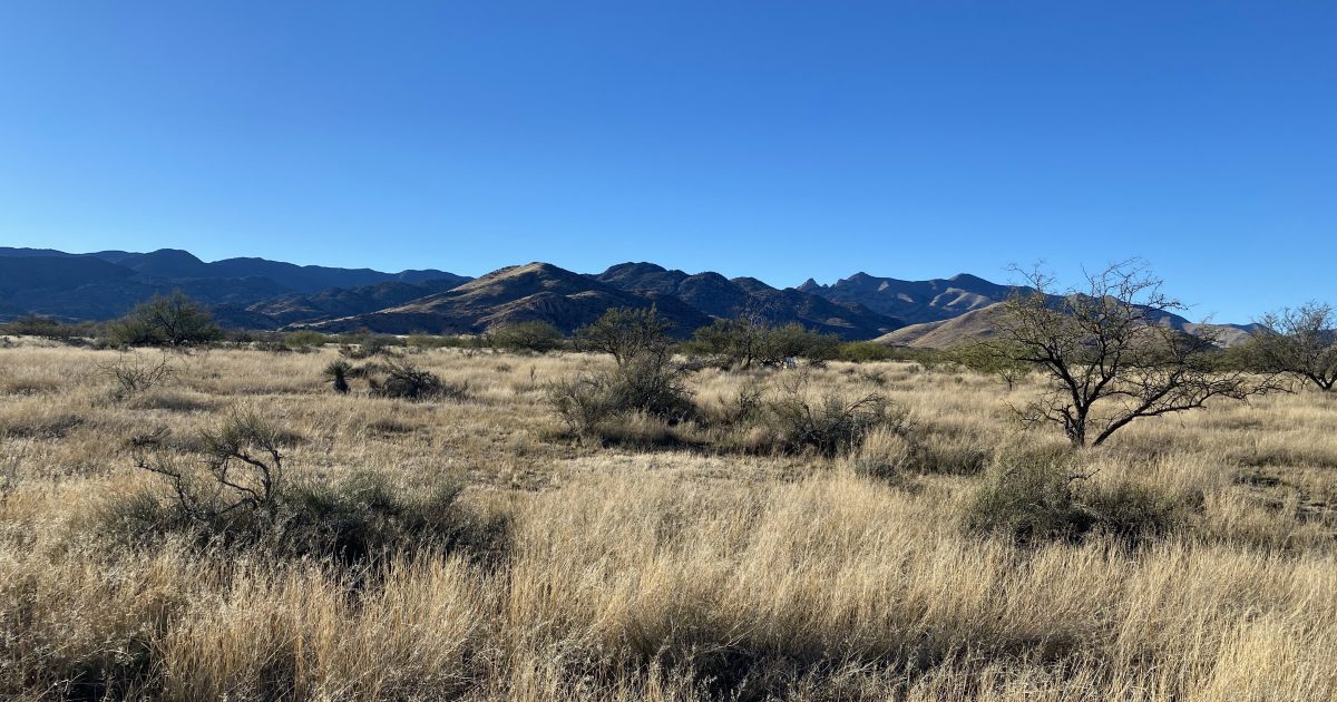 Off-Grid Homestead - Tiny Shiny Home