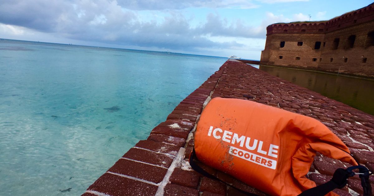 IceMule Coolers - Tiny Shiny Home